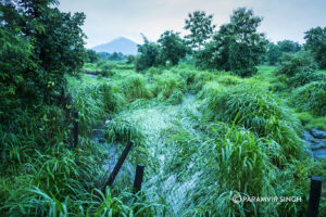 Places to Visit Near Me : Mumbai - The Untourists